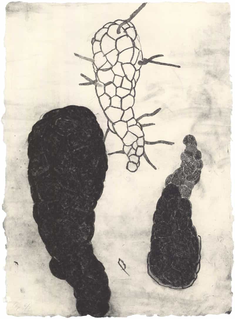 Terry Winters | Universal Limited Art Editions (ULAE)