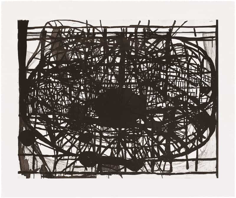 Terry Winters | Universal Limited Art Editions (ULAE)