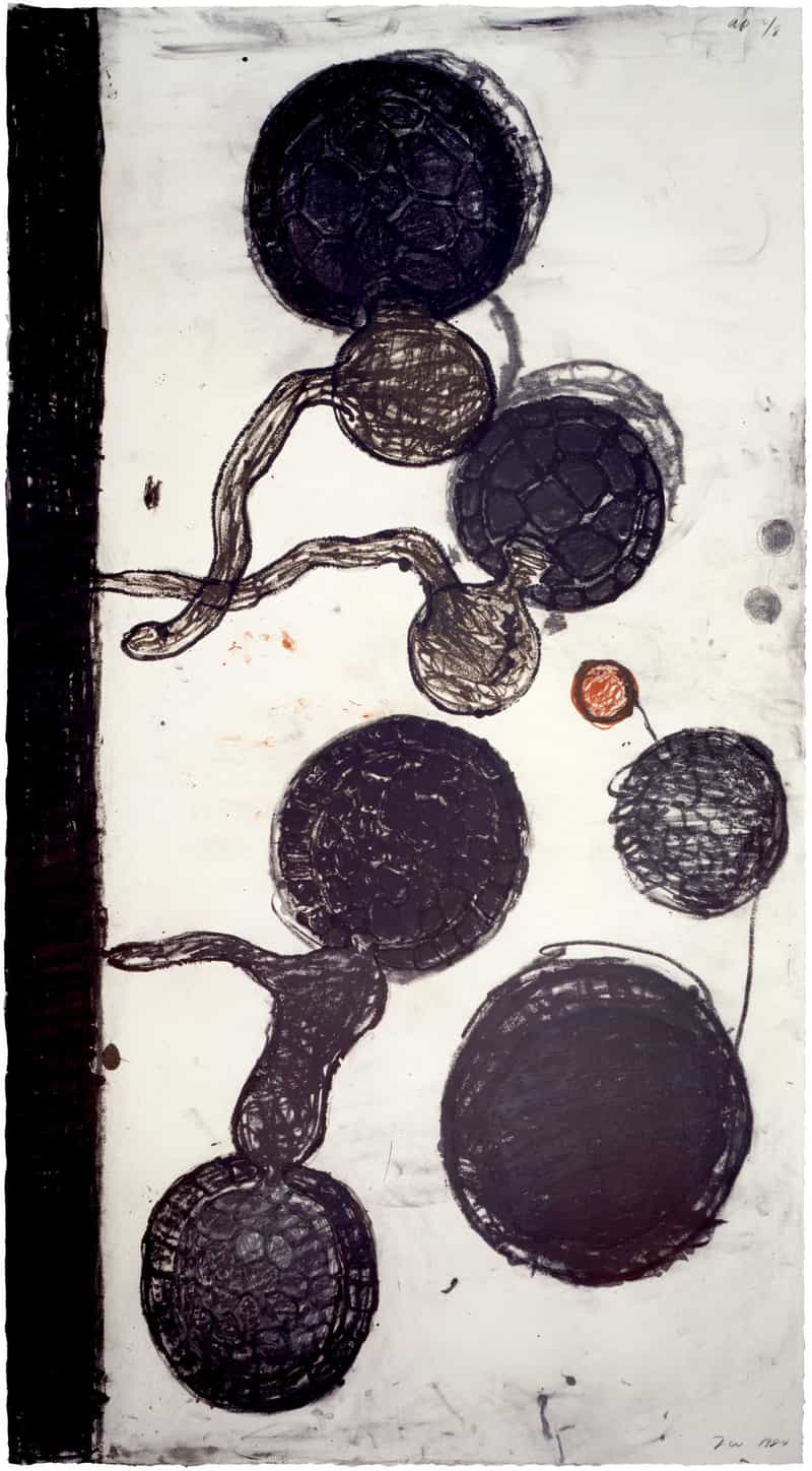 Terry Winters | Universal Limited Art Editions (ULAE)