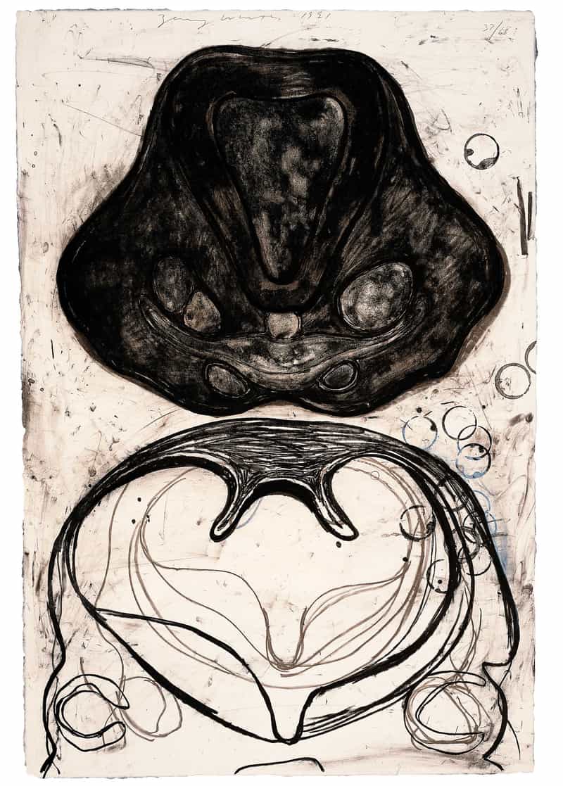 Tokyo Notes, 2005, Terry Winters | Universal Limited Art Editions (ULAE)